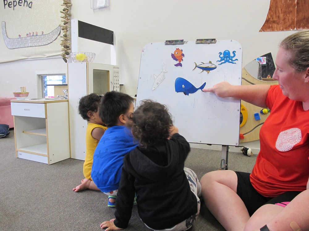 Te Rangi - Scribbles Childcare Ltd